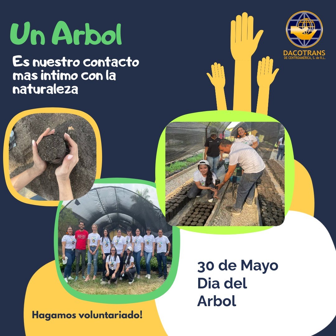 Día del Árbol – DACOTRANS